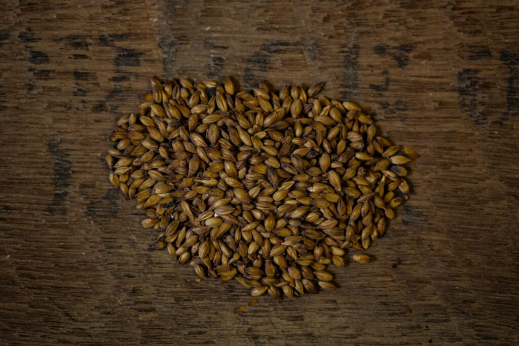 Loughran Brewers Select | Bairds Malt Extra Dark Crystal Malt