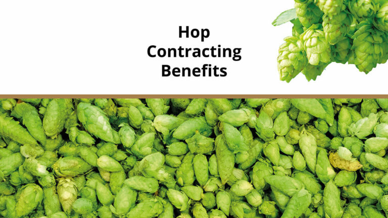 Ultimate Guide to Hop Contracting | Loughran Brewers Select