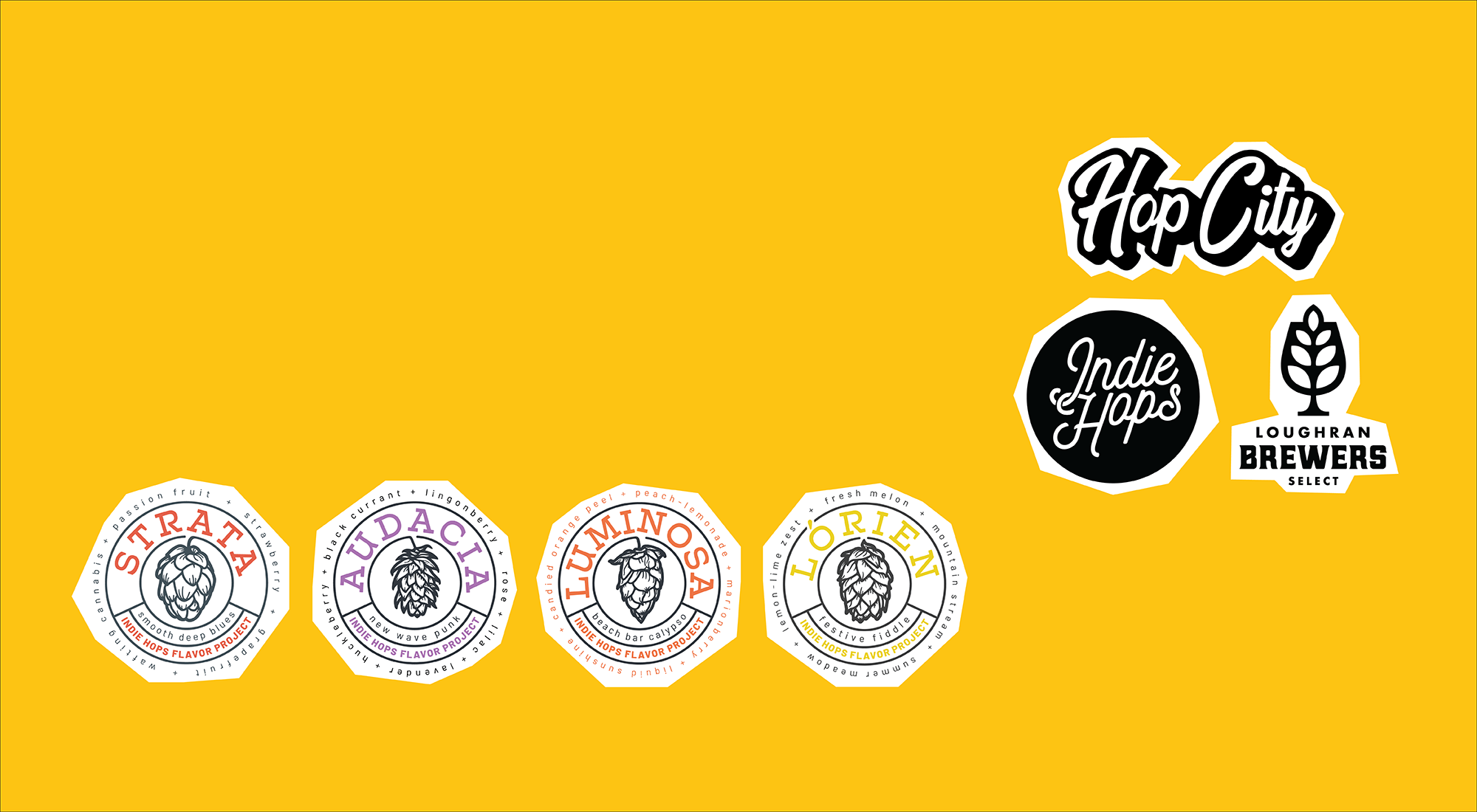 Hop City Beers 2025 | Loughran Brewers Select