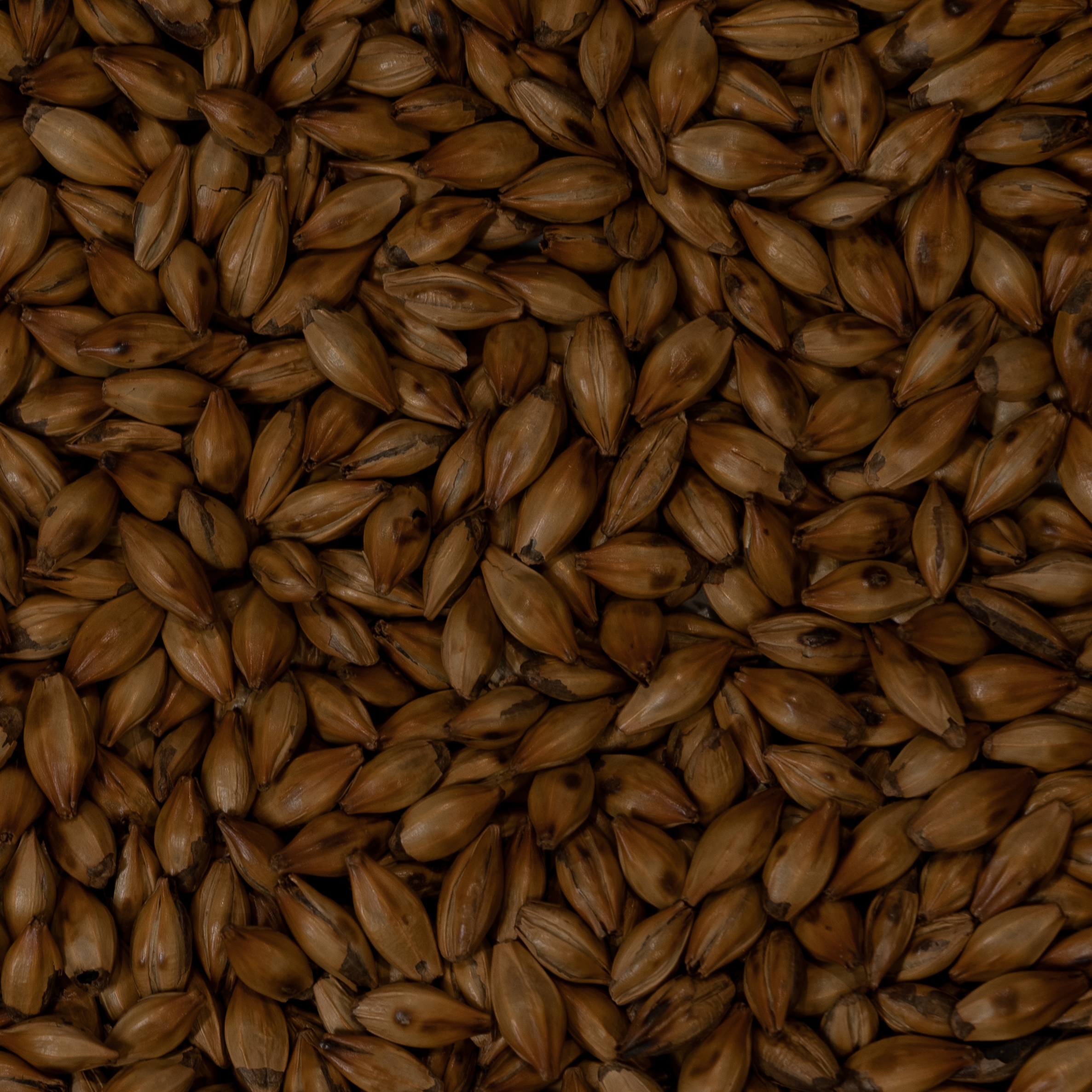 Loughran Brewers Select | French & Jupps Extra Dark Crystal Malt