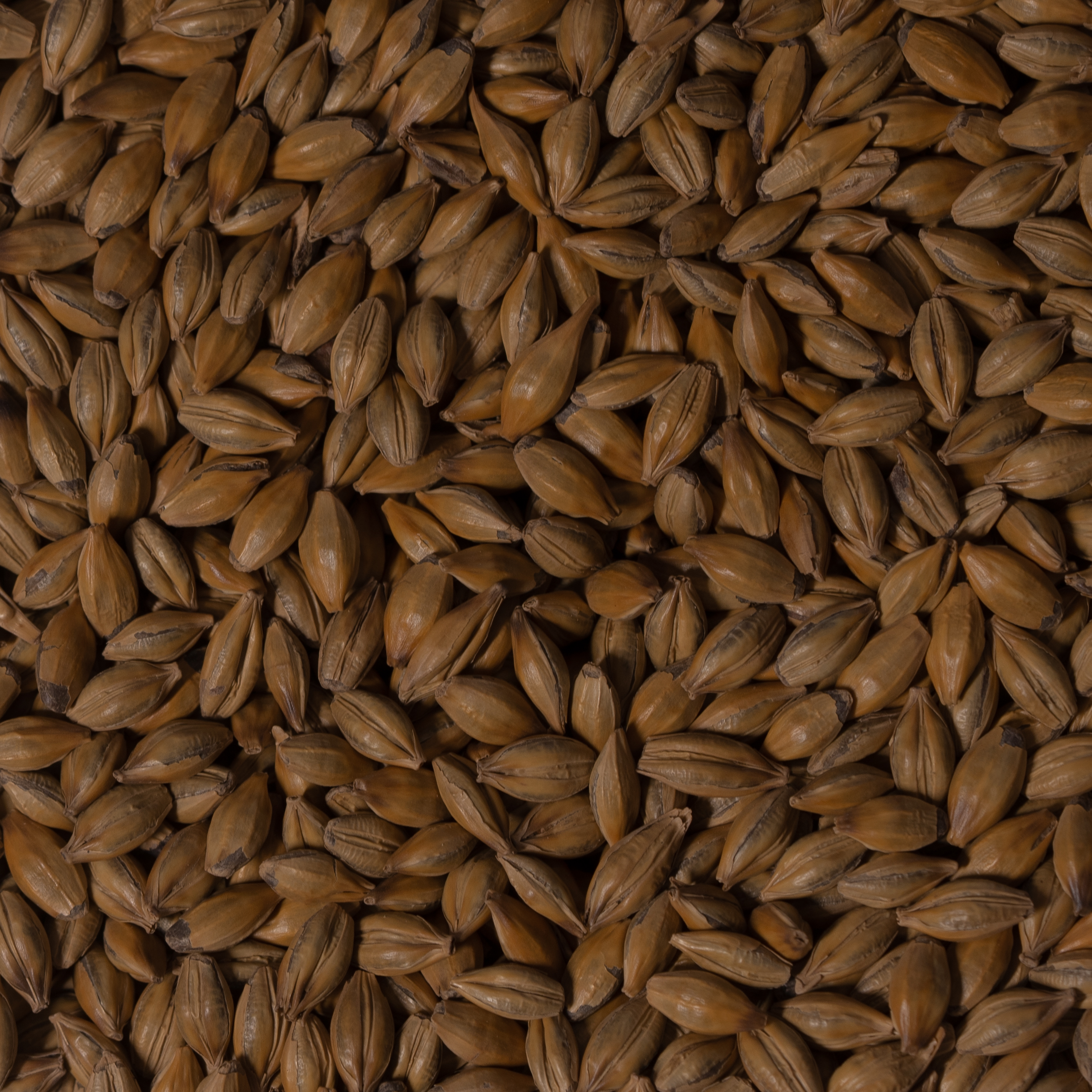 Shop Malts | Elevate Your Beer | Loughran Brewers Select